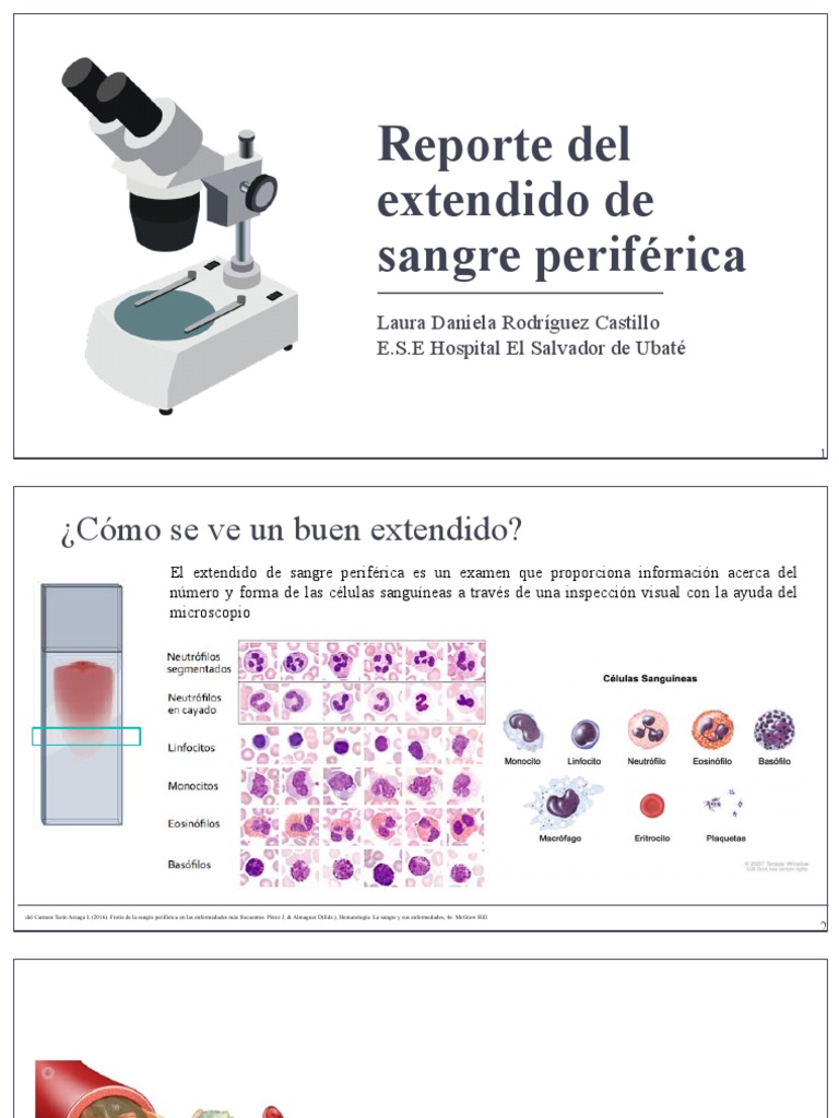 Reporte de Extendido de Sangre Periférica | PDF | Plaqueta | Leucocito