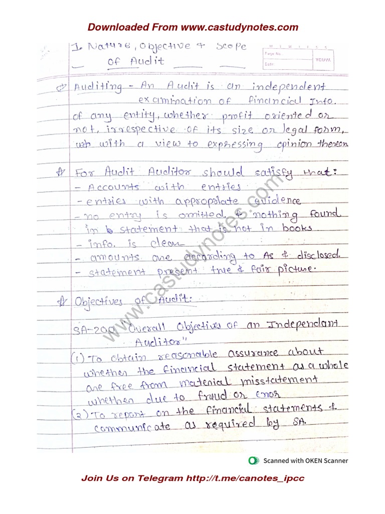 Audit Chapter 1 Handwritten Notes Pdf
