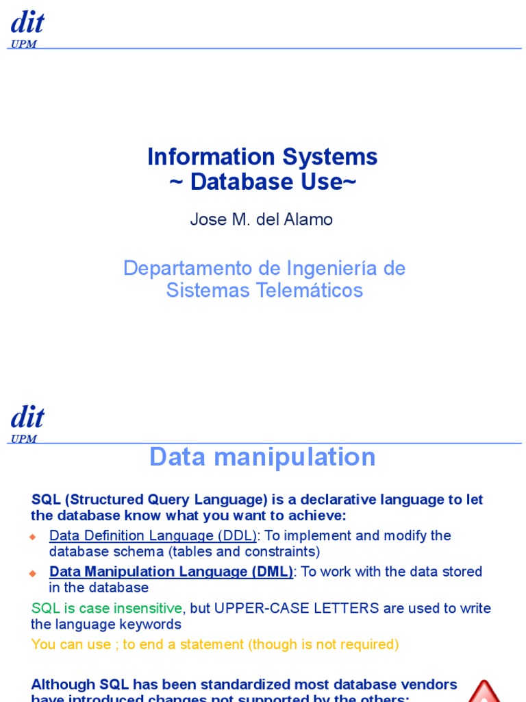 APSV 20 21 TEMA 11 InformationSystemsUsage EN | PDF