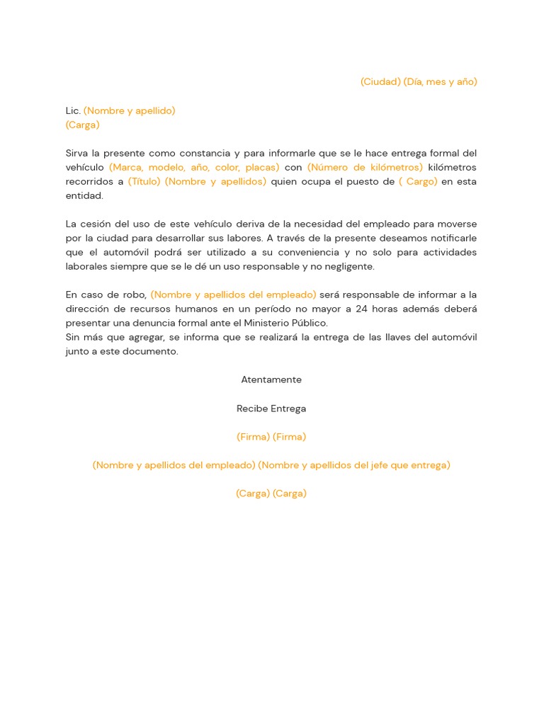 16.0 Formato Resguardo de Vehiculo | PDF
