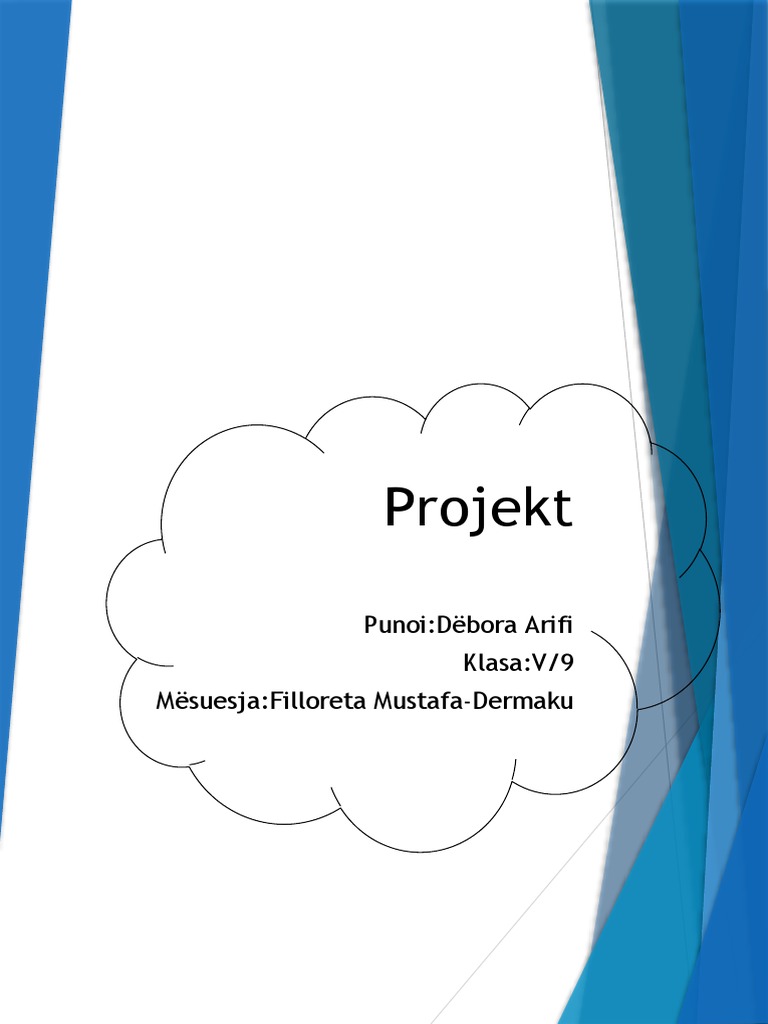 Projekt | PDF