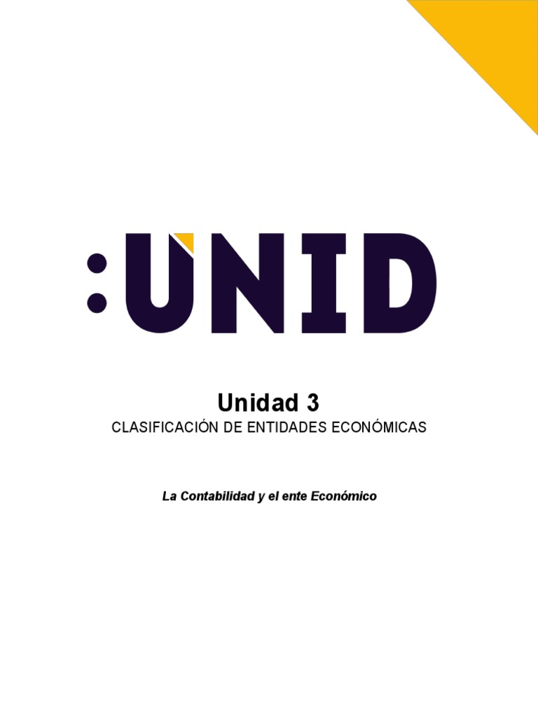 Definición y Clasificación de Entes Económicos | PDF | Contabilidad ...