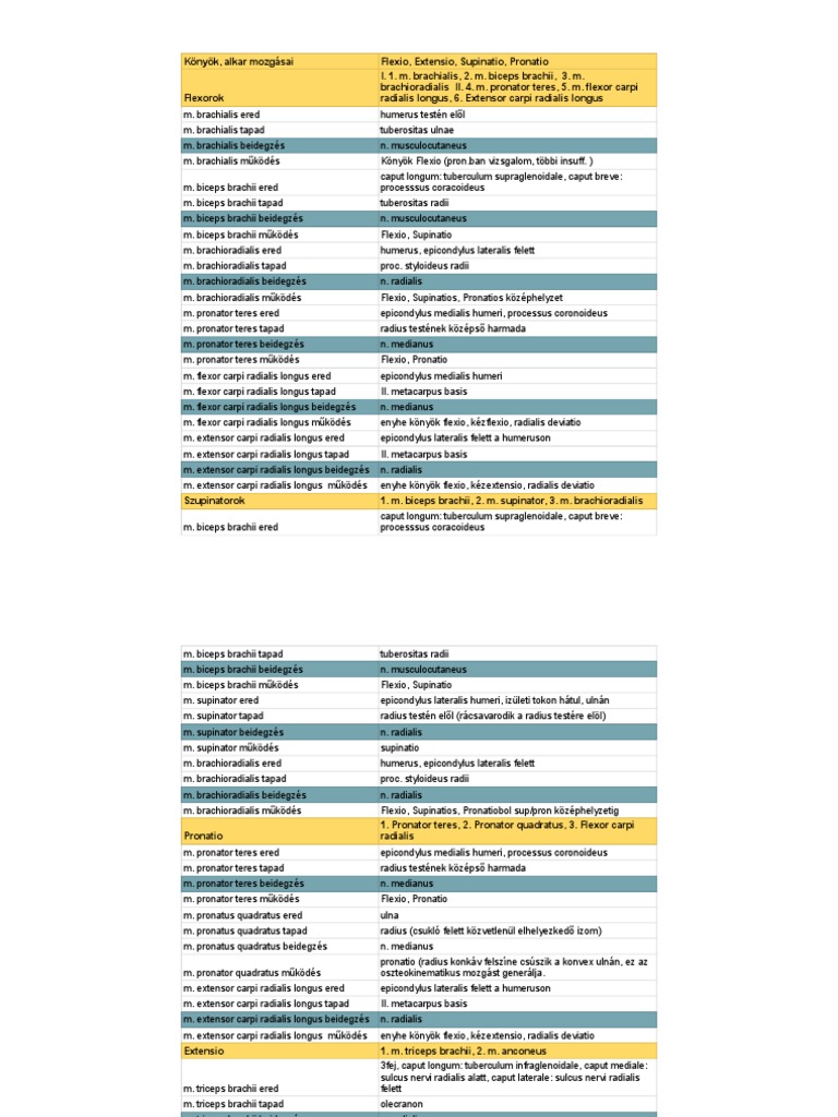 Könyök, Alkar - Sheet1 | PDF
