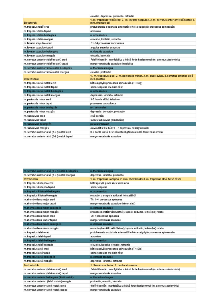 Vállöv Izmai - Sheet1 | PDF