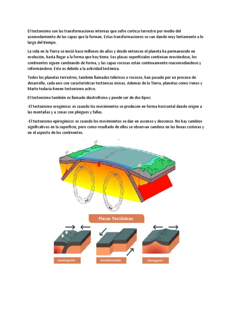Tipos y definición de tectonismo | PDF | Ciencias sociales