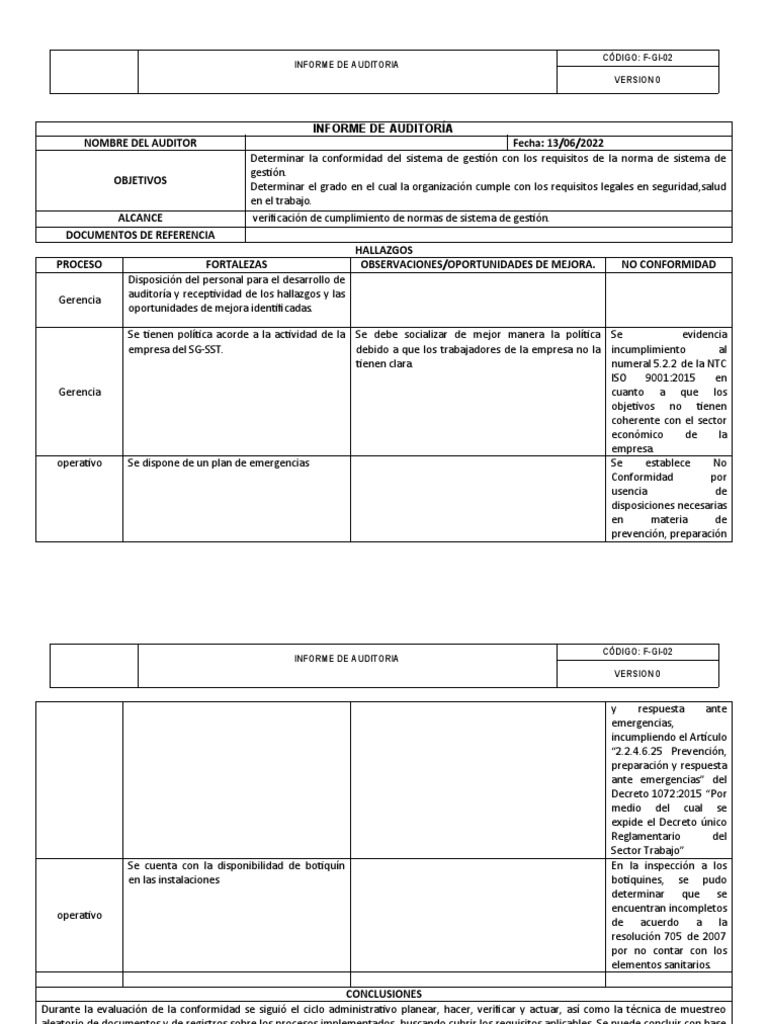 Informe de Auditoria | PDF | Auditoría | Business