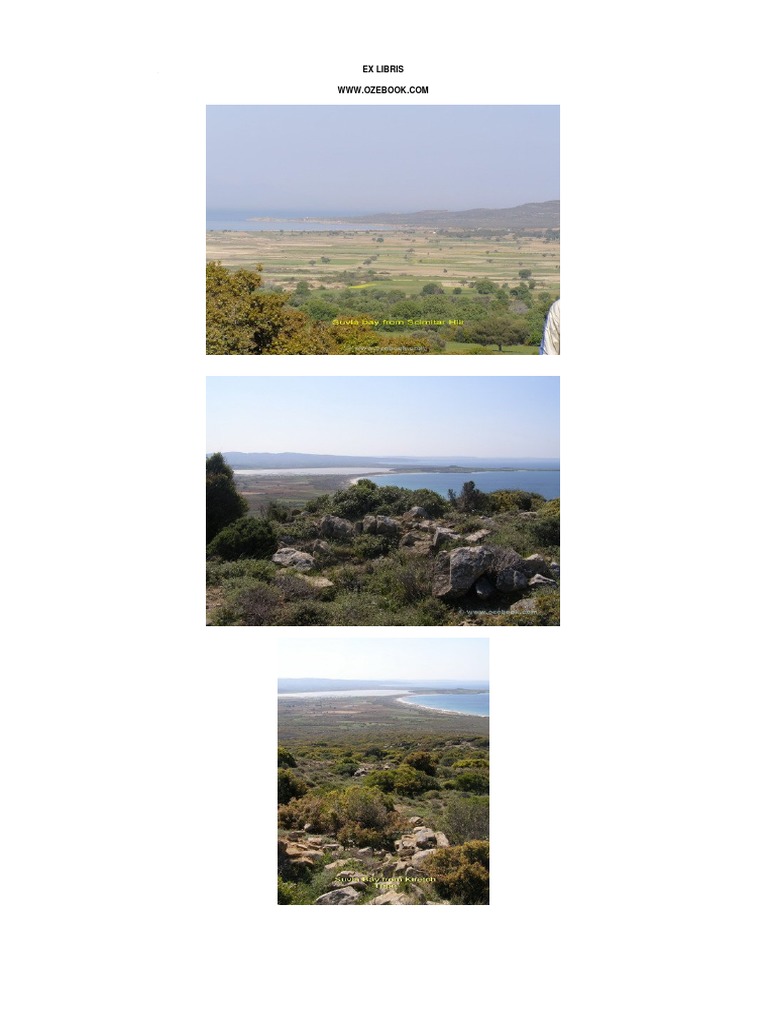 Gallipoli Diary Vol. II by Ian Hamilton | PDF | Gallipoli Campaign ...