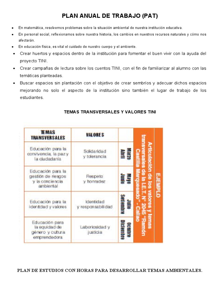 Plan Anual de Trabajo (Pat) : Temas Transversales Y Valores Tini | PDF ...