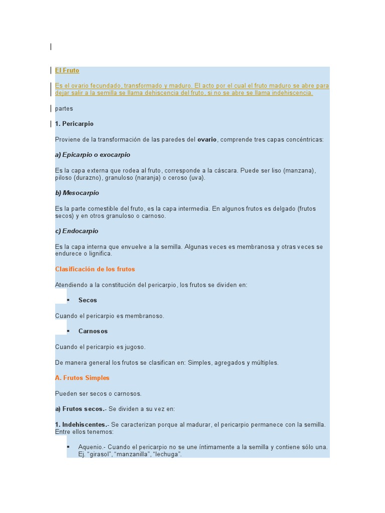 El Fruto | PDF | Fruta | Germinación