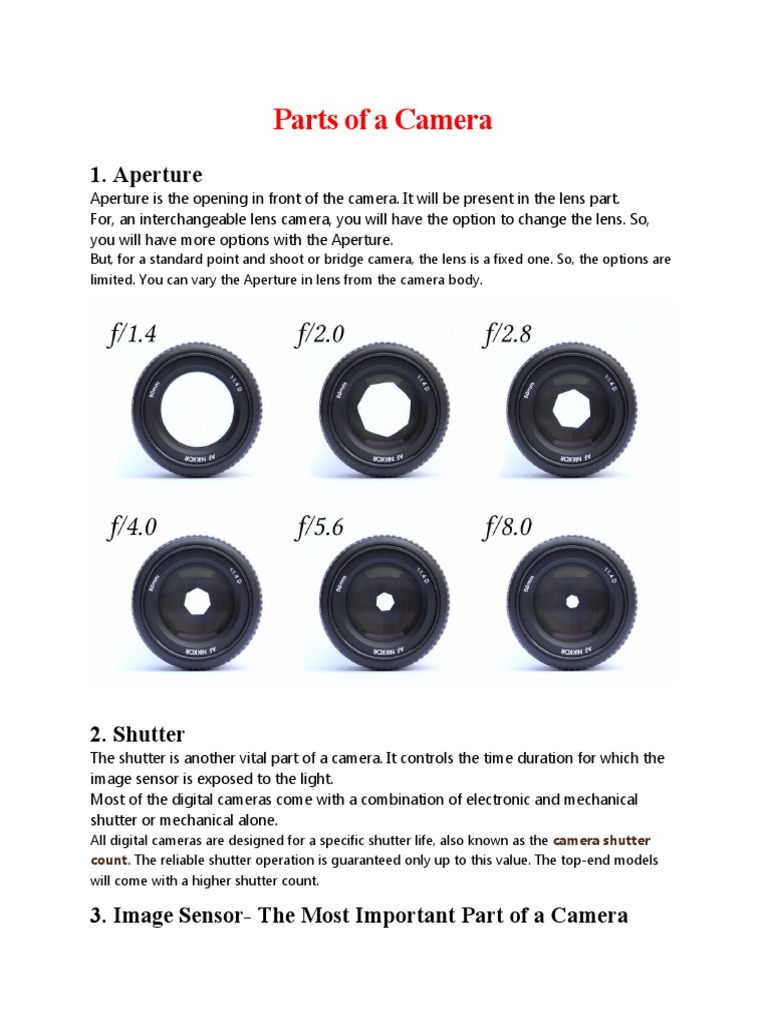 Parts of A Camera | PDF | Camera | Shutter (Photography)
