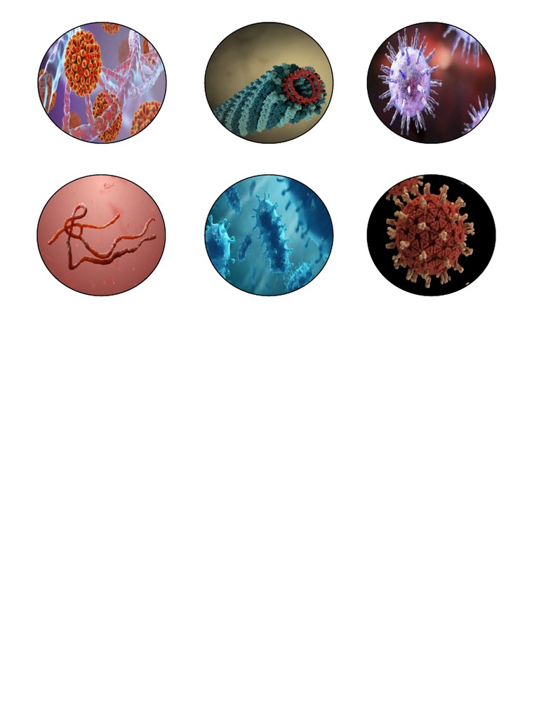 6 Gambar Virus | PDF