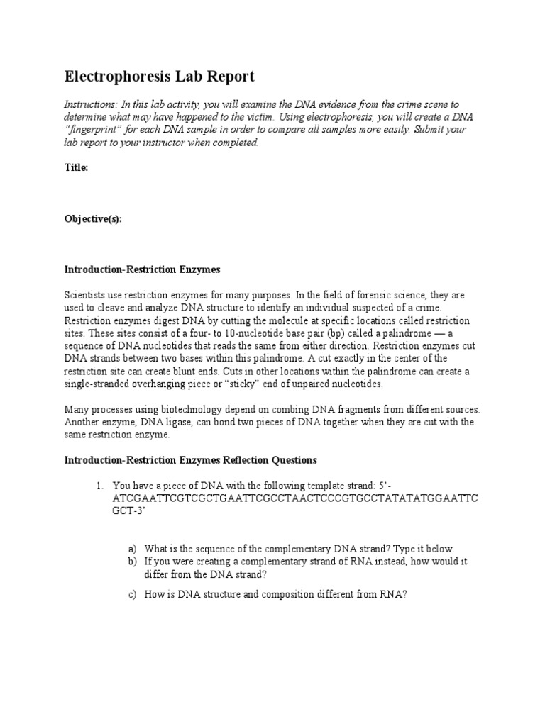 06 01 Electrophoresis Lab Report | PDF | Restriction Enzyme | Dna