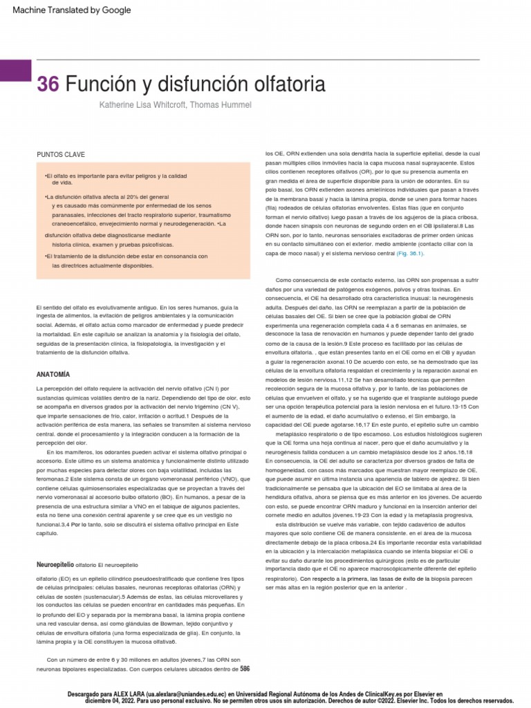 CAP. 36 Olfactory Function and Dysfunction | PDF | Sistema olfativo | Neurociencia