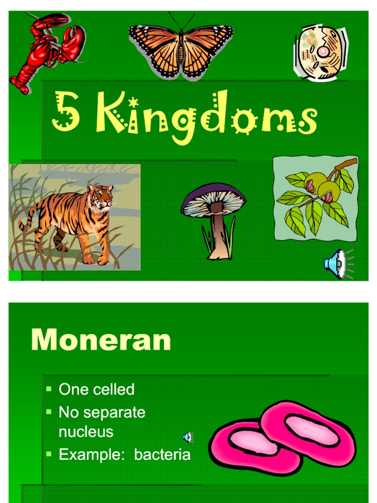 Grade 6 Science Power Point On 5 Kingdoms | PDF