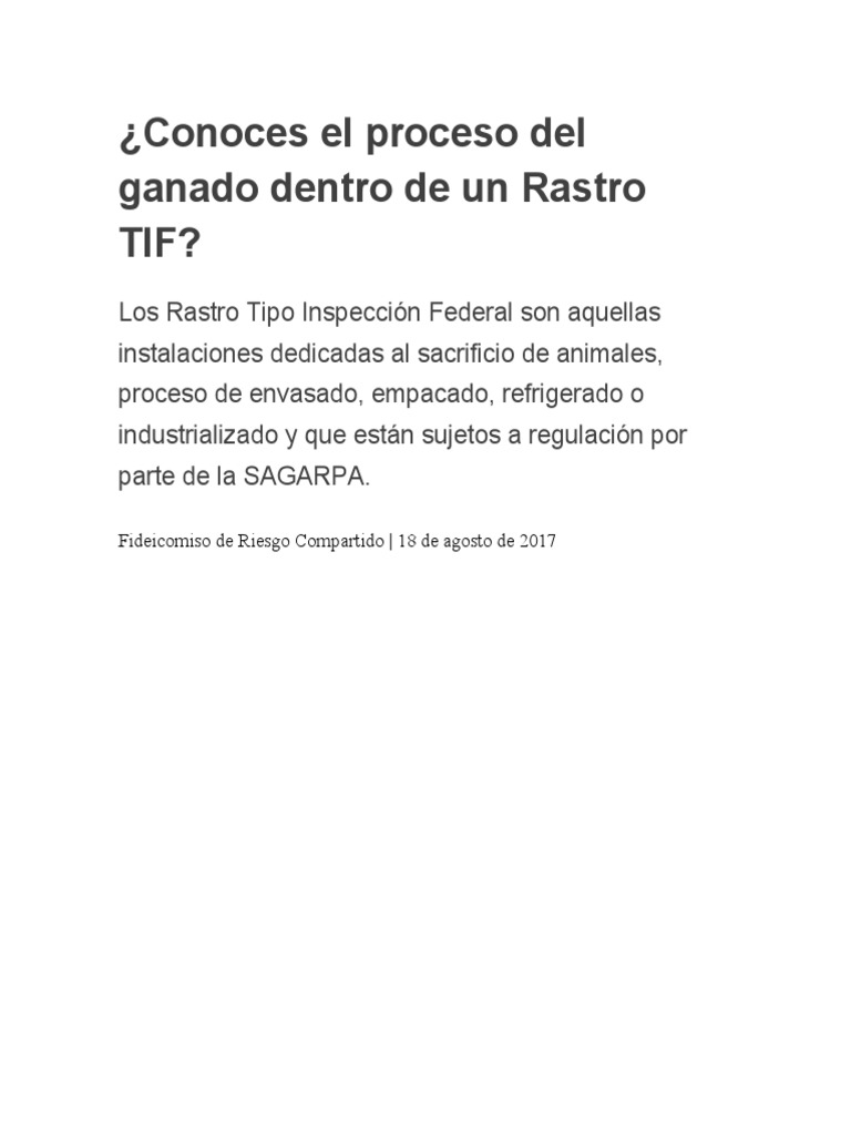 Conoces El Proceso Del Ganado Dentro de Un Rastro TIF | PDF | Carne