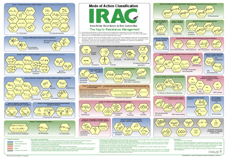 IRAC Modes of Action | PDF | Insecticide | Organic Compounds