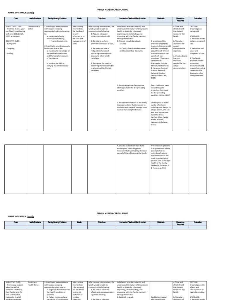 Family Health Care Plan Overview | PDF | Nursing | Parenting