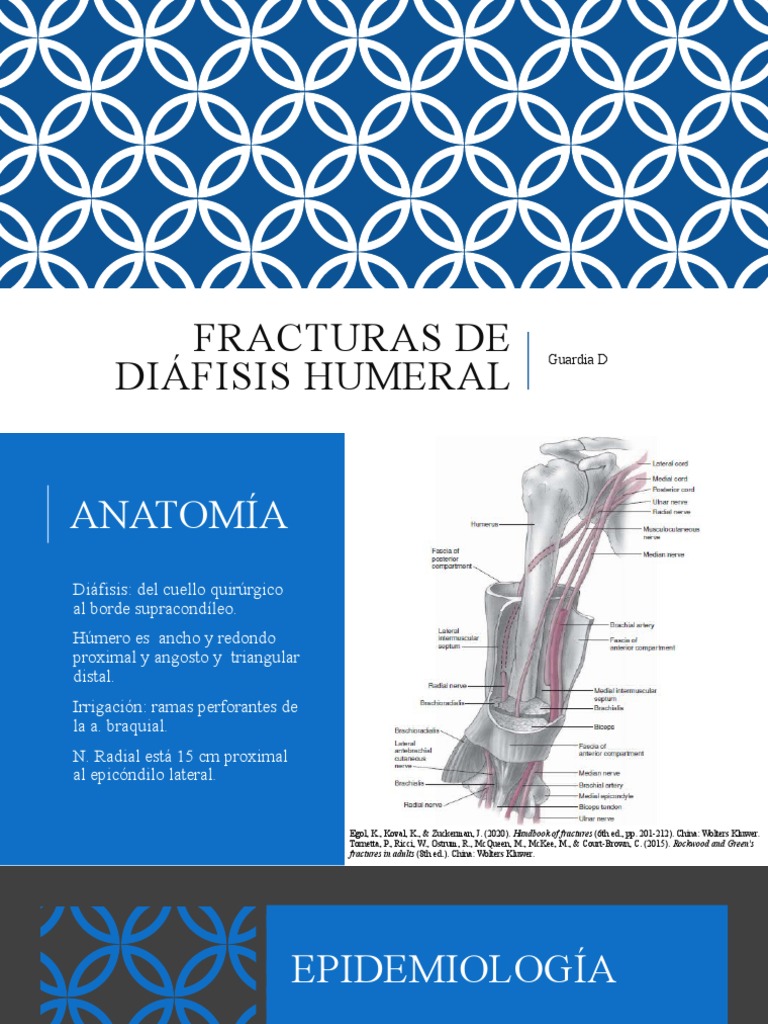 Fracturas de Diáfisis Humeral | PDF | Extremidades (anatomía ...
