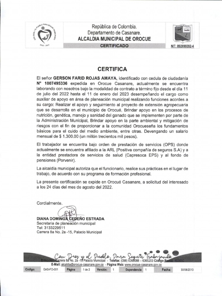 Carta de Intencion | PDF