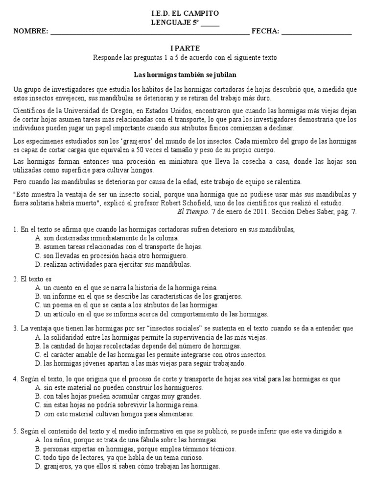 Comprension Lectora Las Hormigas | PDF | Hormiga | Insectos