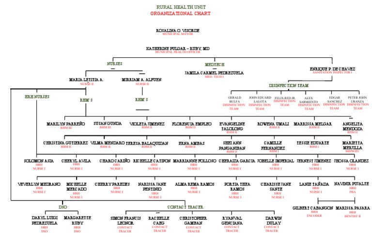 RHU Organizational Chart | PDF