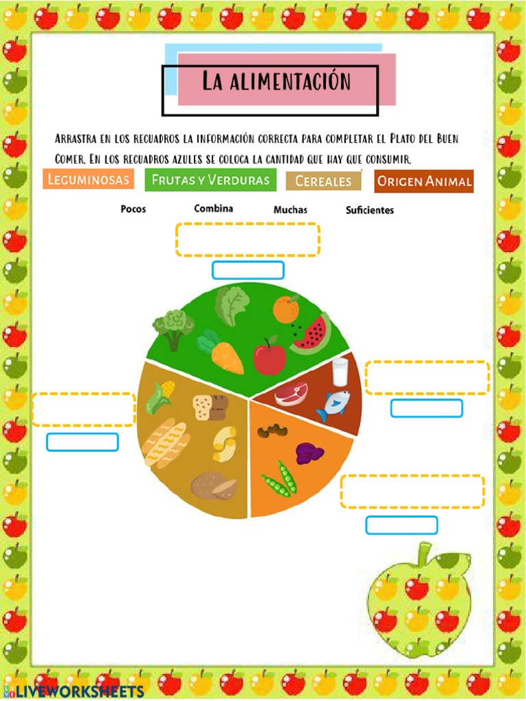 Actividades del Plato del Buen Comer | PDF