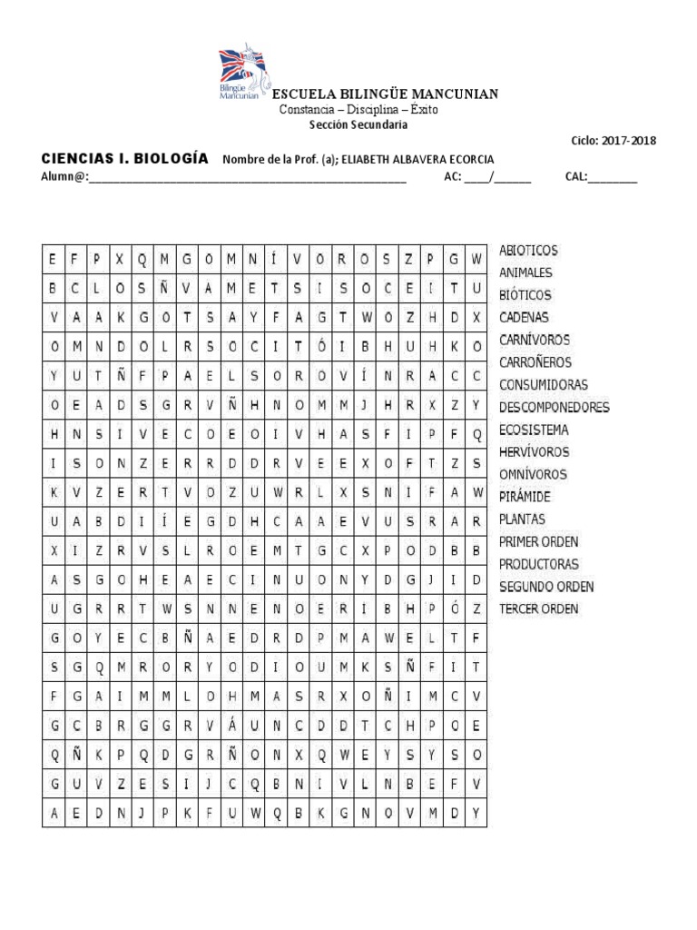 Sopa de Letras Examen | PDF