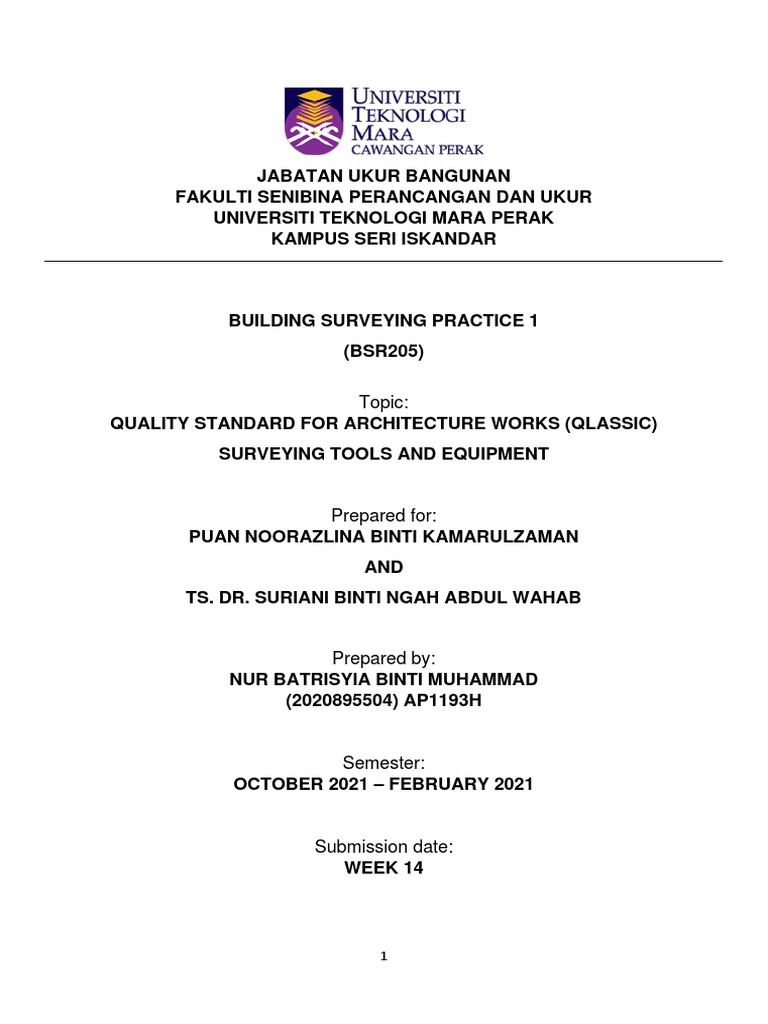 Report Bsr205 Assigment 2 (100%) | PDF | Paint | Civil Engineering