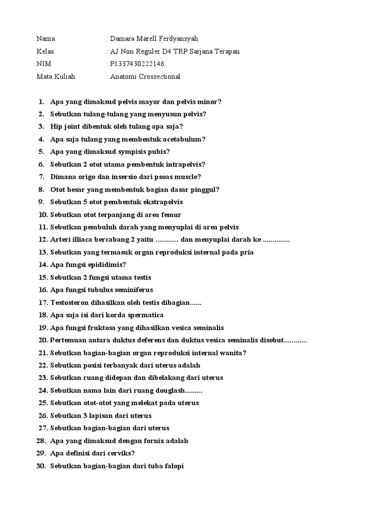 Aj Rd-Damara Marell Ferdyansyah-P1337430222146 | PDF