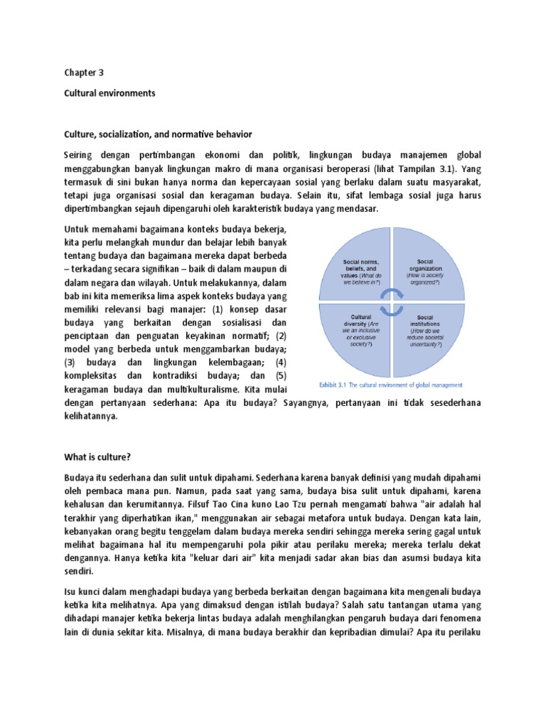Chapter 3 Cultural Environments | PDF