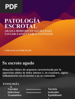 Protocolo Diagnóstico de Las Adenopatías Inguinales | PDF | Infección transmitida sexualmente ...