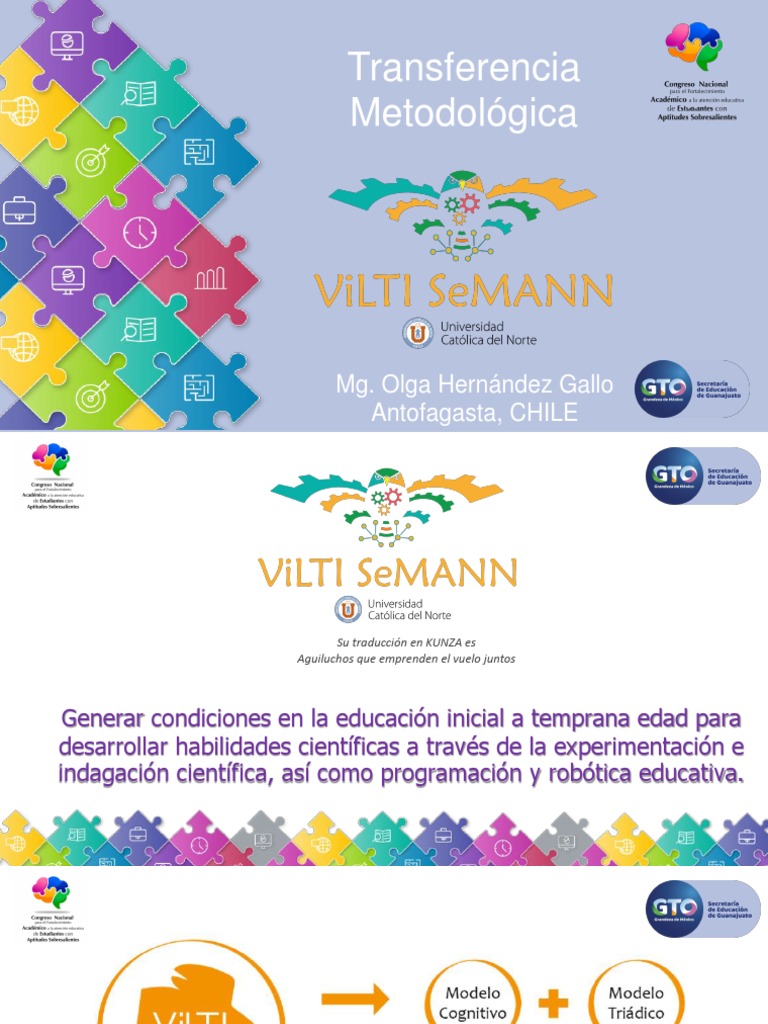 Transferencia Metodológica ViLTI - Olga Hernandez Gallo - CHILE | PDF ...