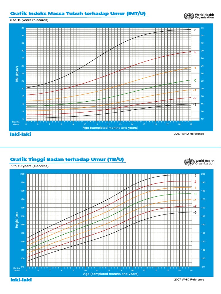 Grafik IMT-U Dan TB-U Boys | PDF