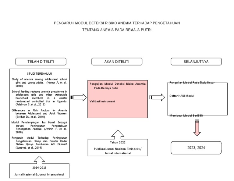 Road Map-Pengembangan Modul Deteksi Risiko Anemia Pada Kehamilan | PDF