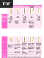 Nomenclatura Fdi | PDF | Odontología | Diente humano