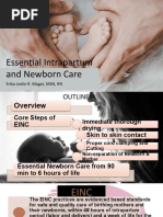 Perineal Care Procedure Checklist | PDF | Labia | Sexual Anatomy