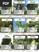 Fractions Orange Top Trumps | PDF