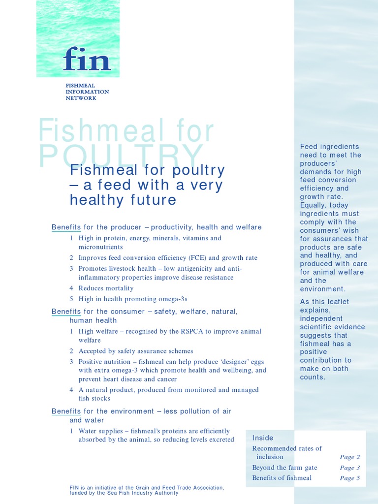 Benefits of Fishmeal in Poultry Feed | PDF | Omega 3 Fatty Acid | Fish Oil