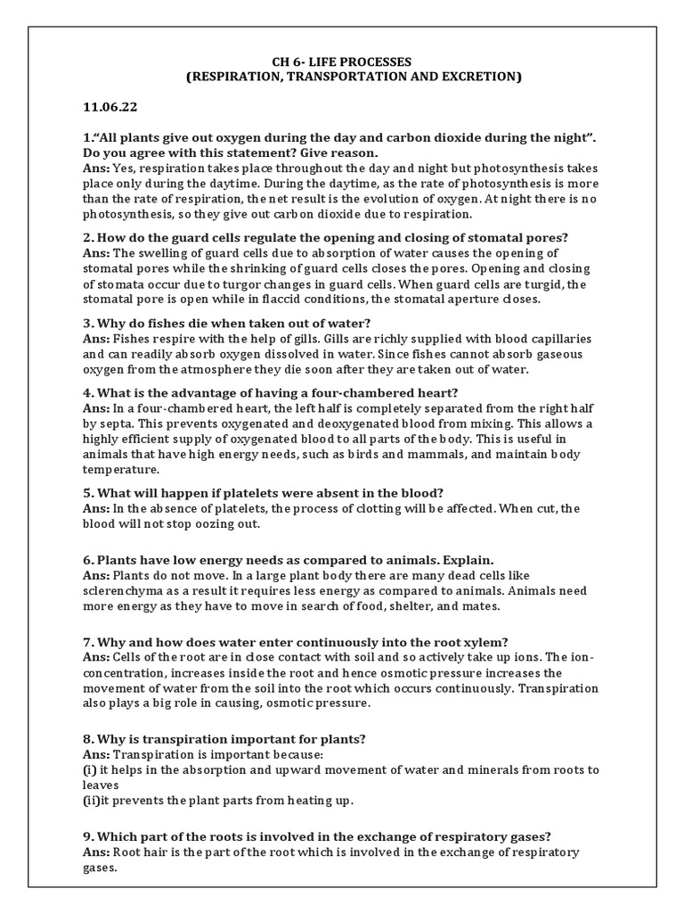 NOTES LIFE PROCESSES (Respiration, Excretion | PDF | Stoma | Blood