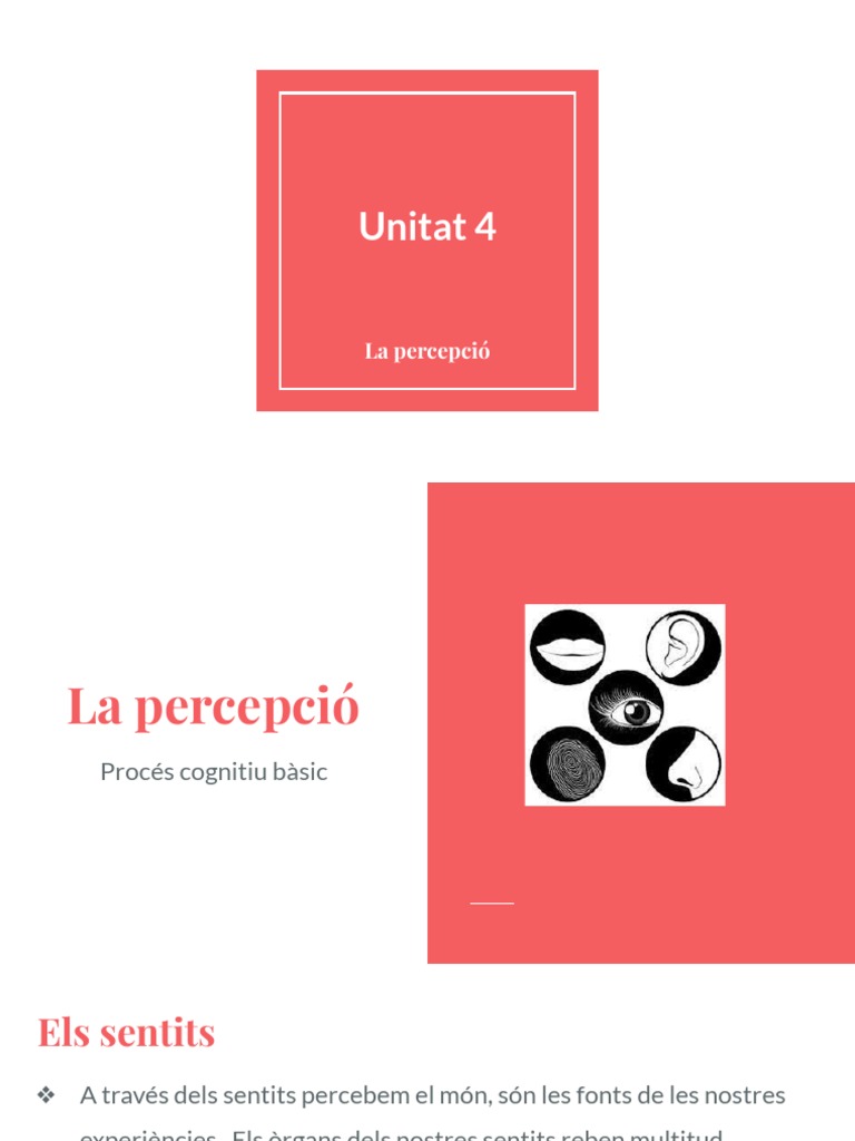 Unitat 4 La percepció | PDF