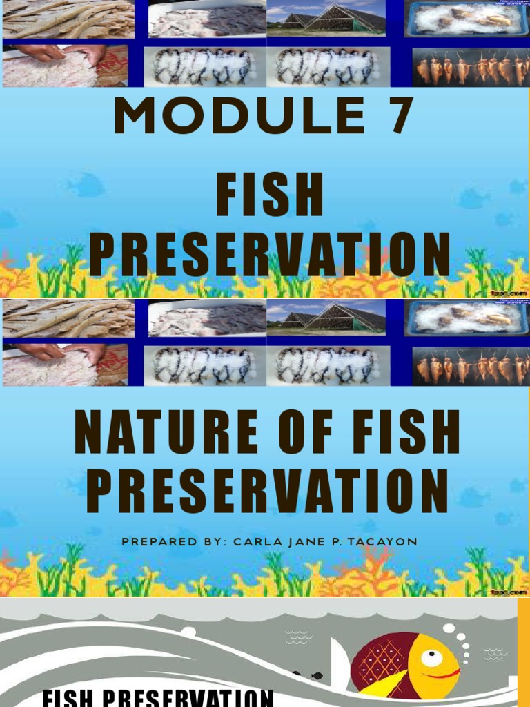Tec10 - Module 7 (Fish Preservation) | PDF | Food Preservation | Food ...