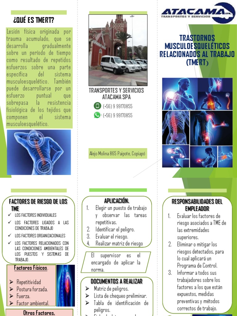 Triptico TMERT | PDF