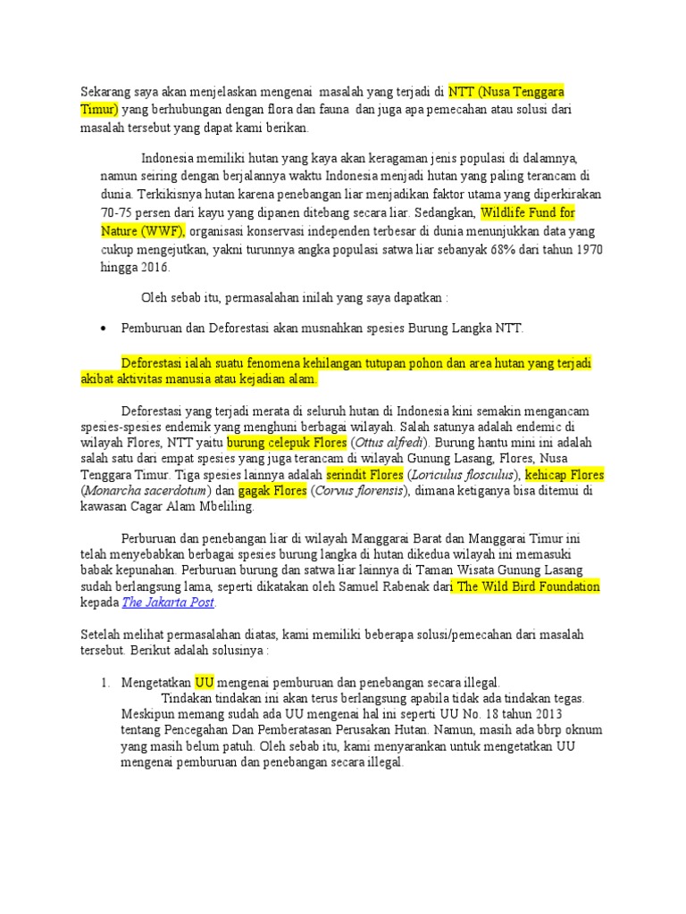 Masalah Yang Terjadi Di NTT (GEO) - 1 | PDF