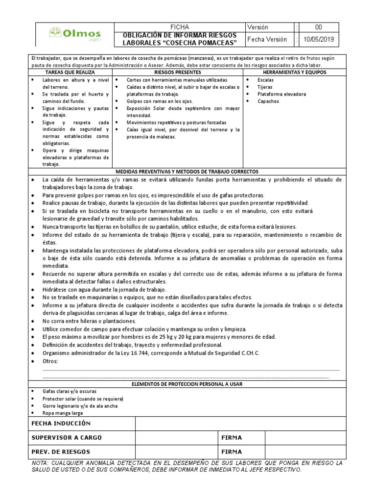 Ficha Cosecha de Manzanas ODI | PDF