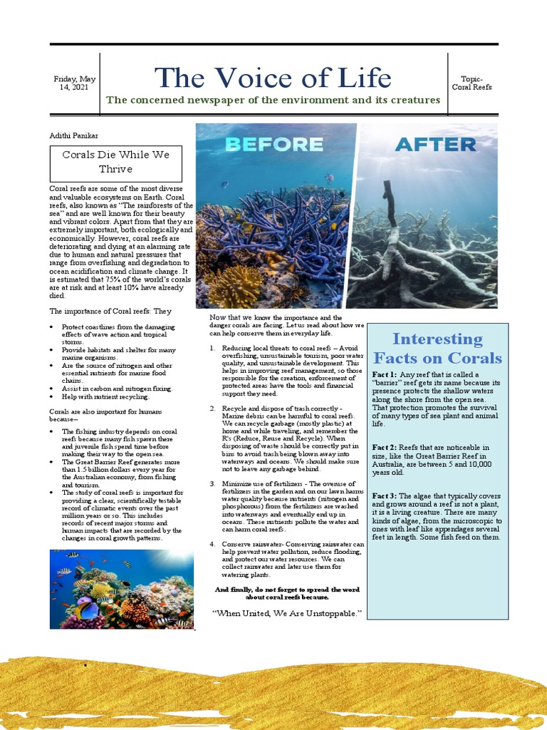 Newspaper Report On Coral Reefs | PDF | Coral Reef | Oceans