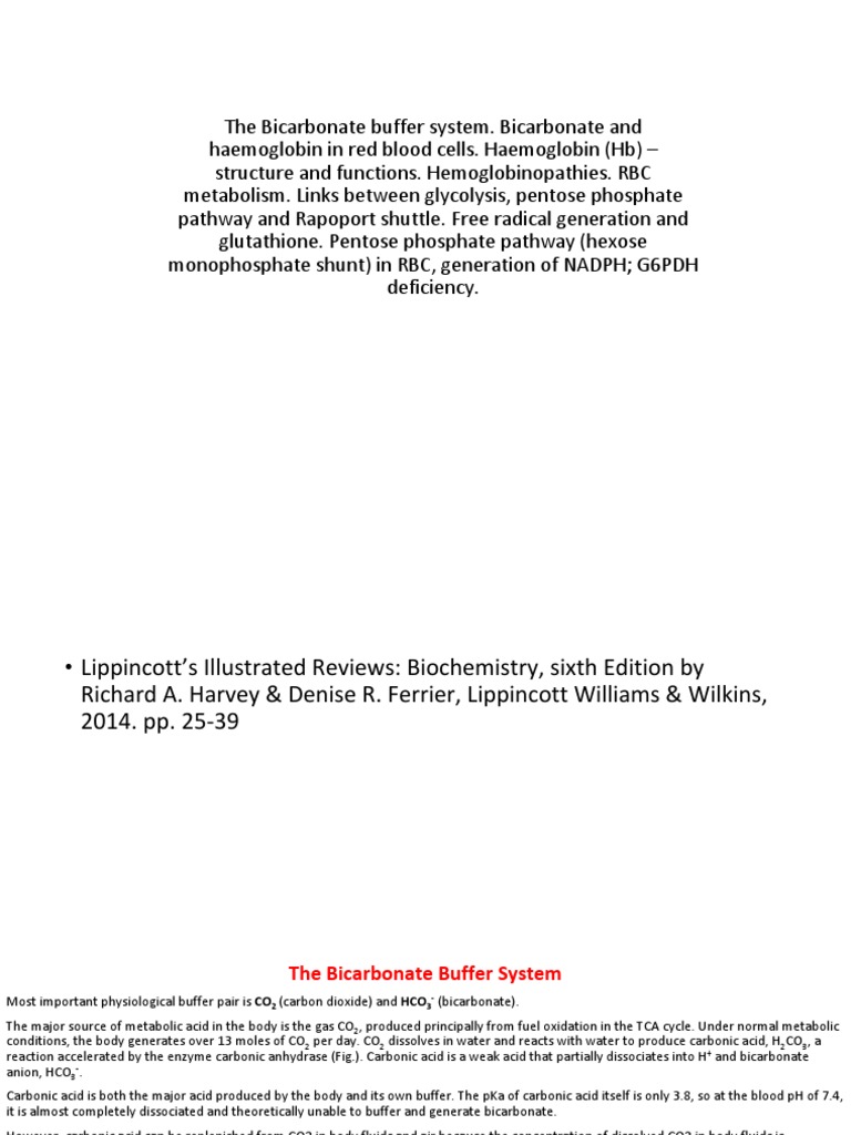 Bicarbonate and Hemoglobin Buffering | PDF | Hemoglobin | Red Blood Cell