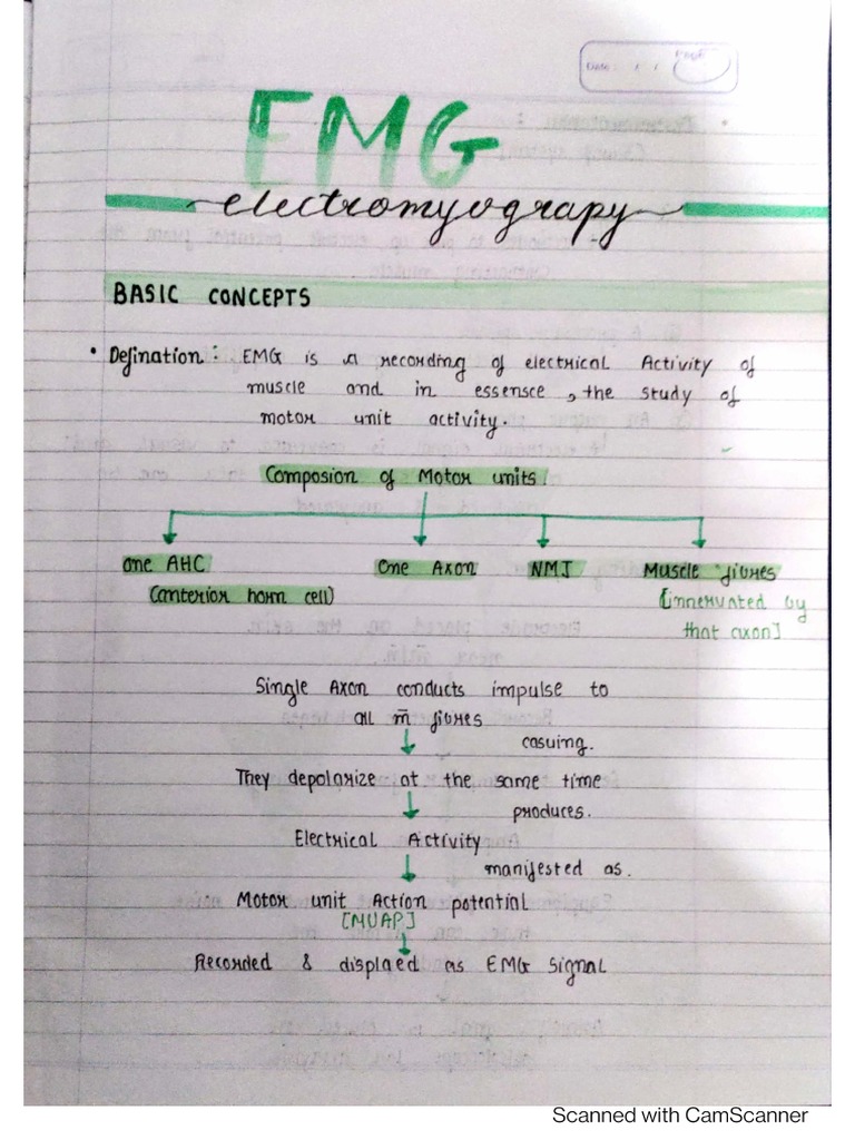 Emg Notes | PDF