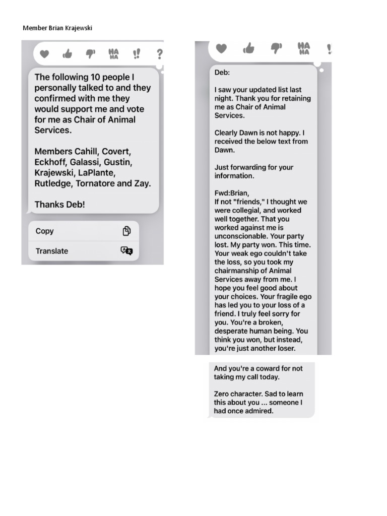 DuPage County Board Member Text Messages | PDF