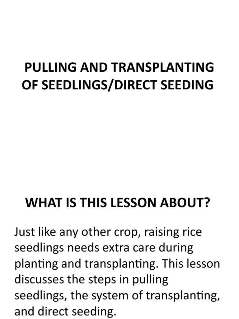 g10 Pulling and Transplanting of Seedlings | PDF