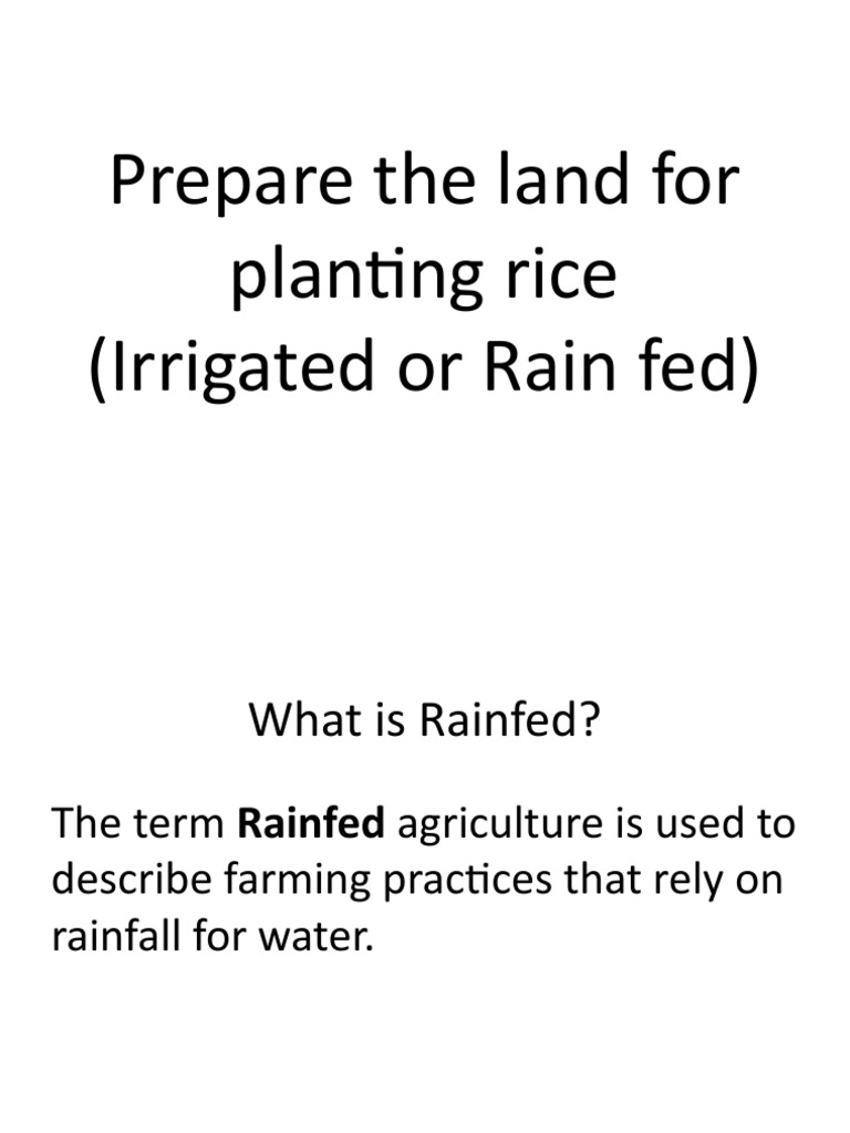 g10 Prepare The Land For Planting Rice | PDF | Plough | Soil
